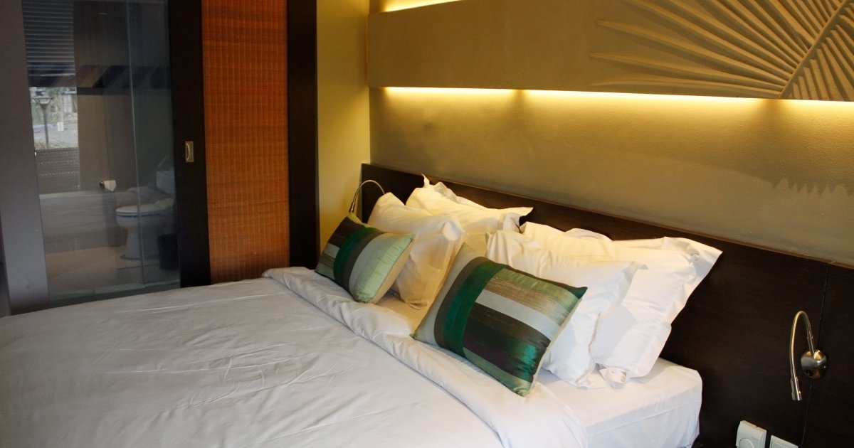 Record number of guest nights in 2025 – SSB
