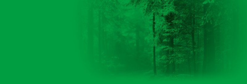 Fakta om skogbruk – SSB