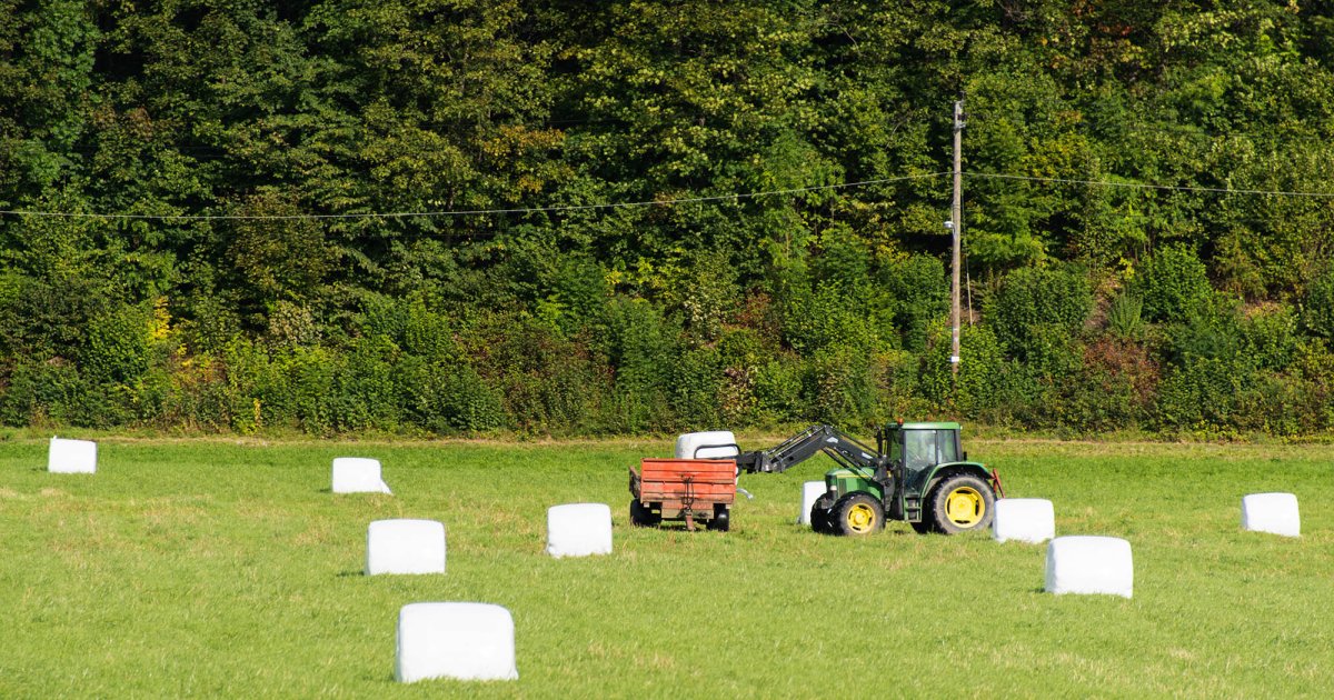 Potet- og grovfôravlingar 2022 Potet- og grovfôravlingar 2022