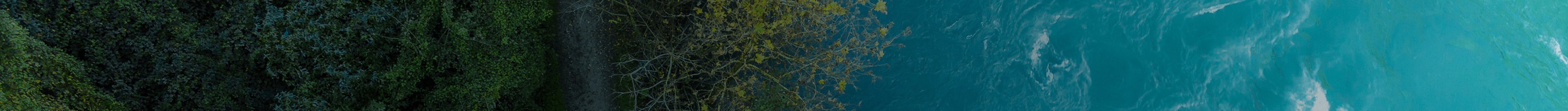 Kommunefakta Sel – SSB