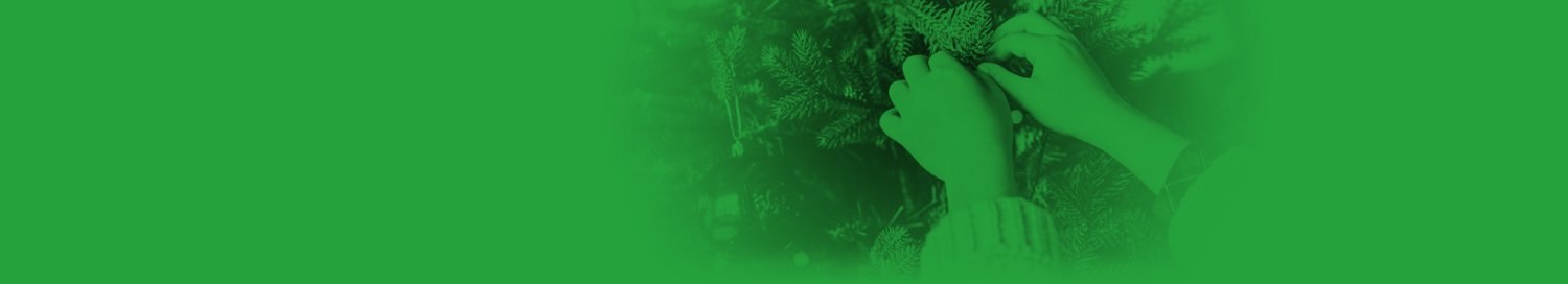 Fakta om jul – SSB
